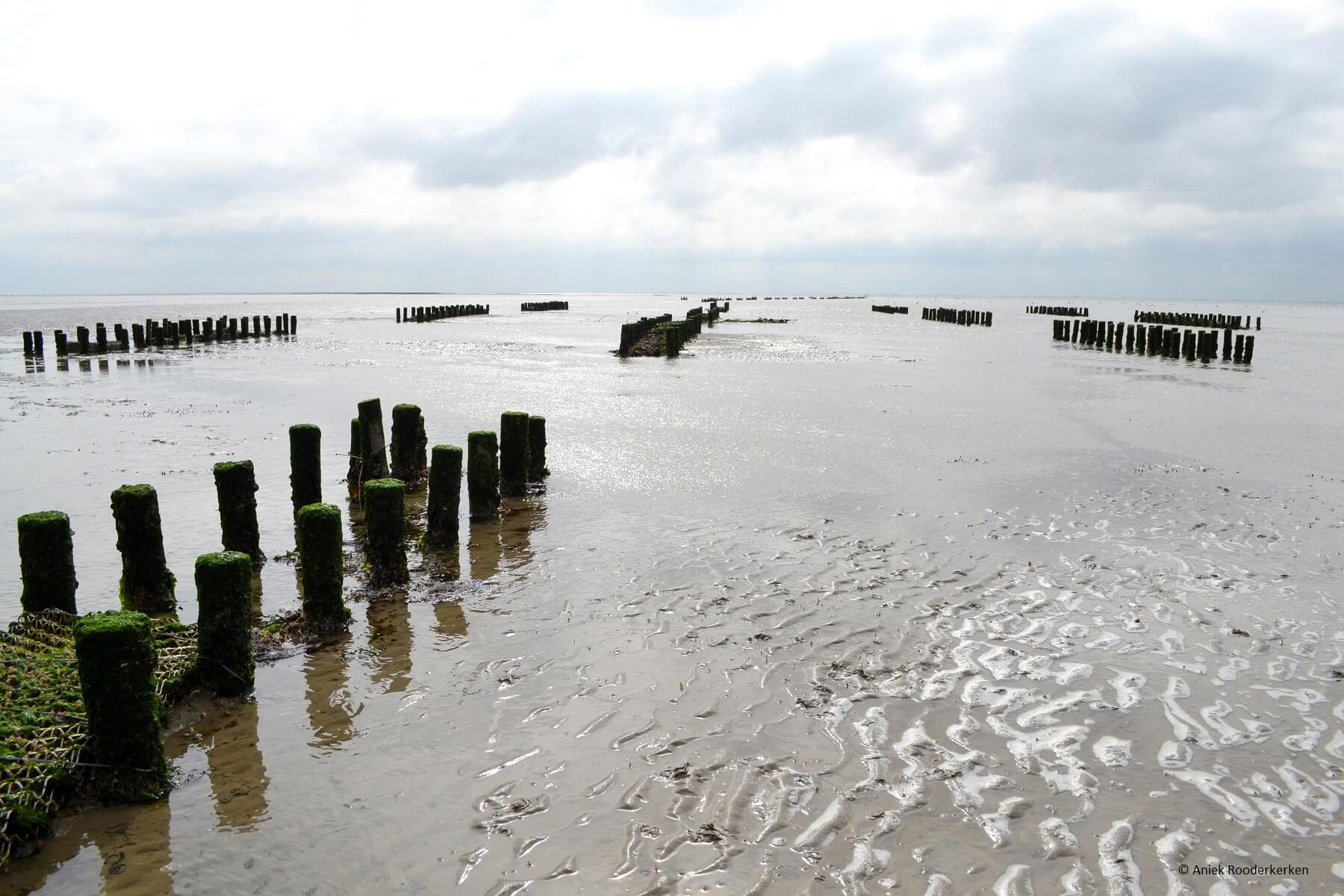 De Waddenzee, op de grens van water en land - Avontuur op reis