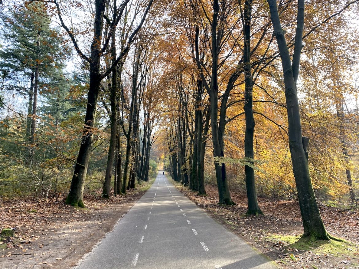 NS-wandeling Elsterberg van Rhenen naar Veenendaal - Avontuur op reis