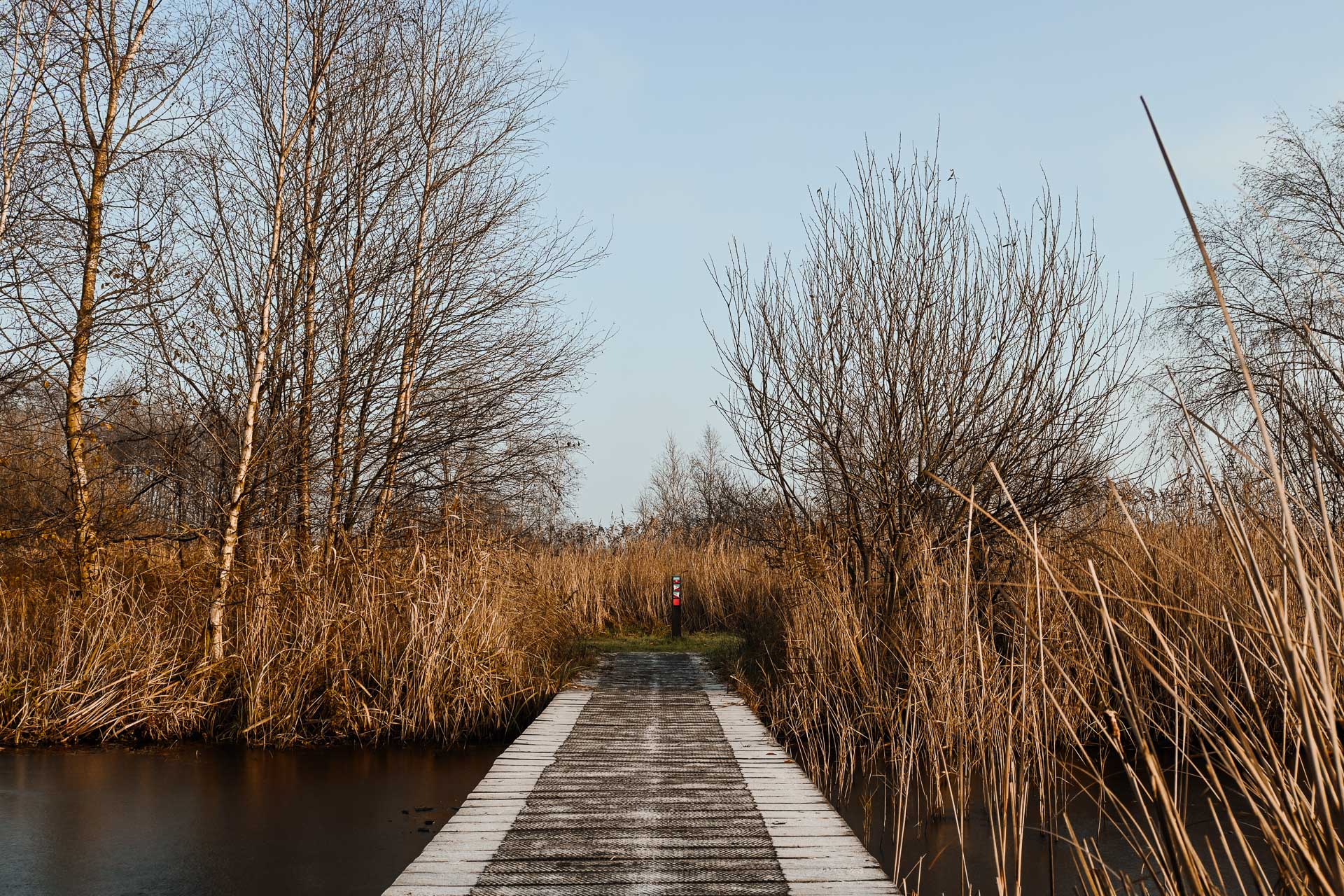 Wandelroute It Wikelslân: wandelen in de Alde Feanen - Avontuur op reis